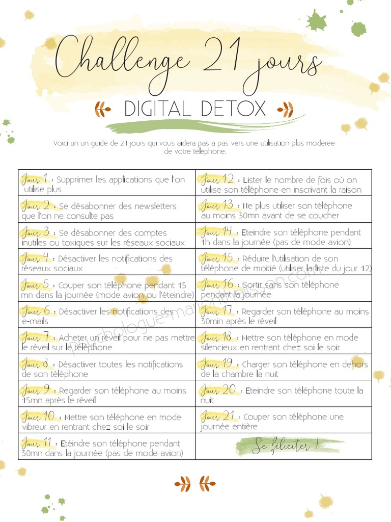 Agenda Challenge 21 Jours Digital Detox | PDF