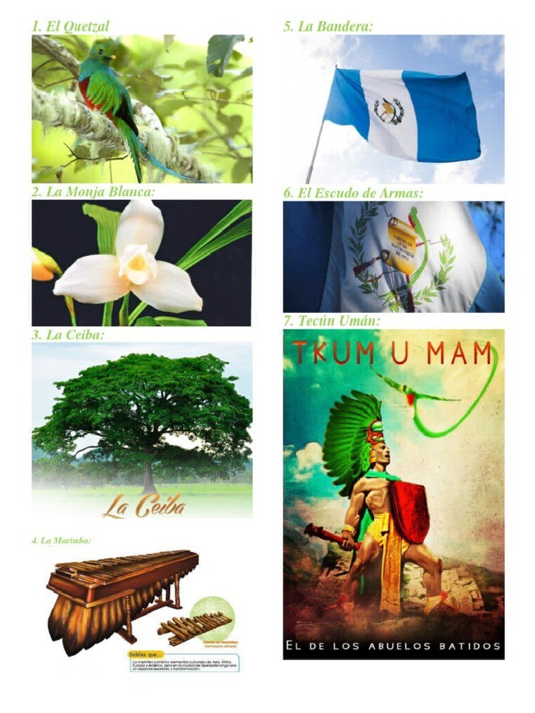 SIMBOLOS PATRIOS DE GUATEMALA | PDF