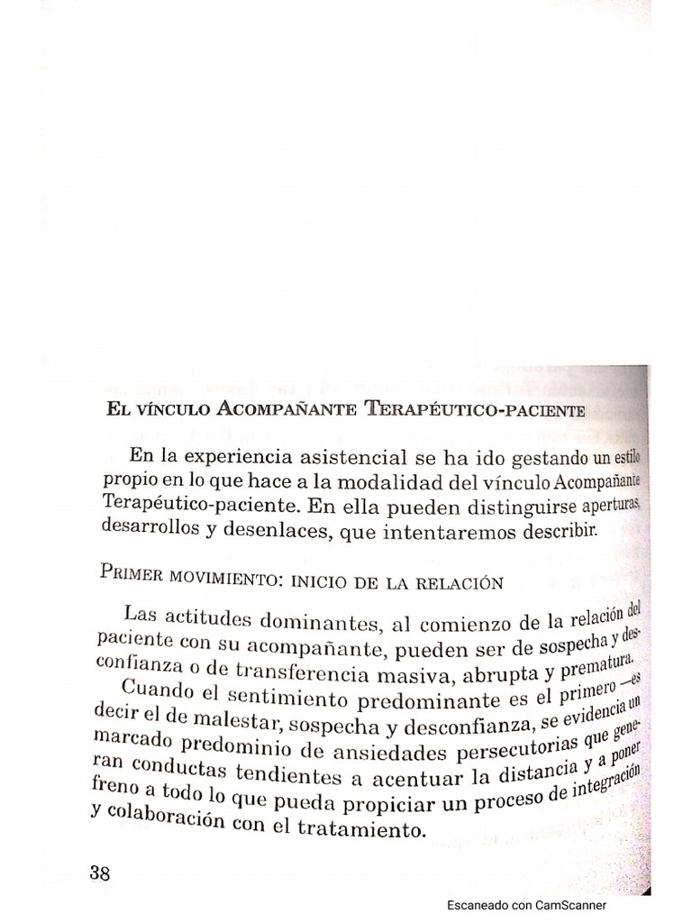 El Vínculo AT - Paciente | PDF