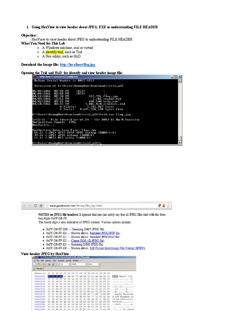 HexView JPEG Header Repair Guide | PDF | Computer File | Computer ...