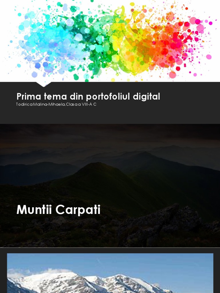 Istorie-Prima Tema Din Portofoliu | PDF