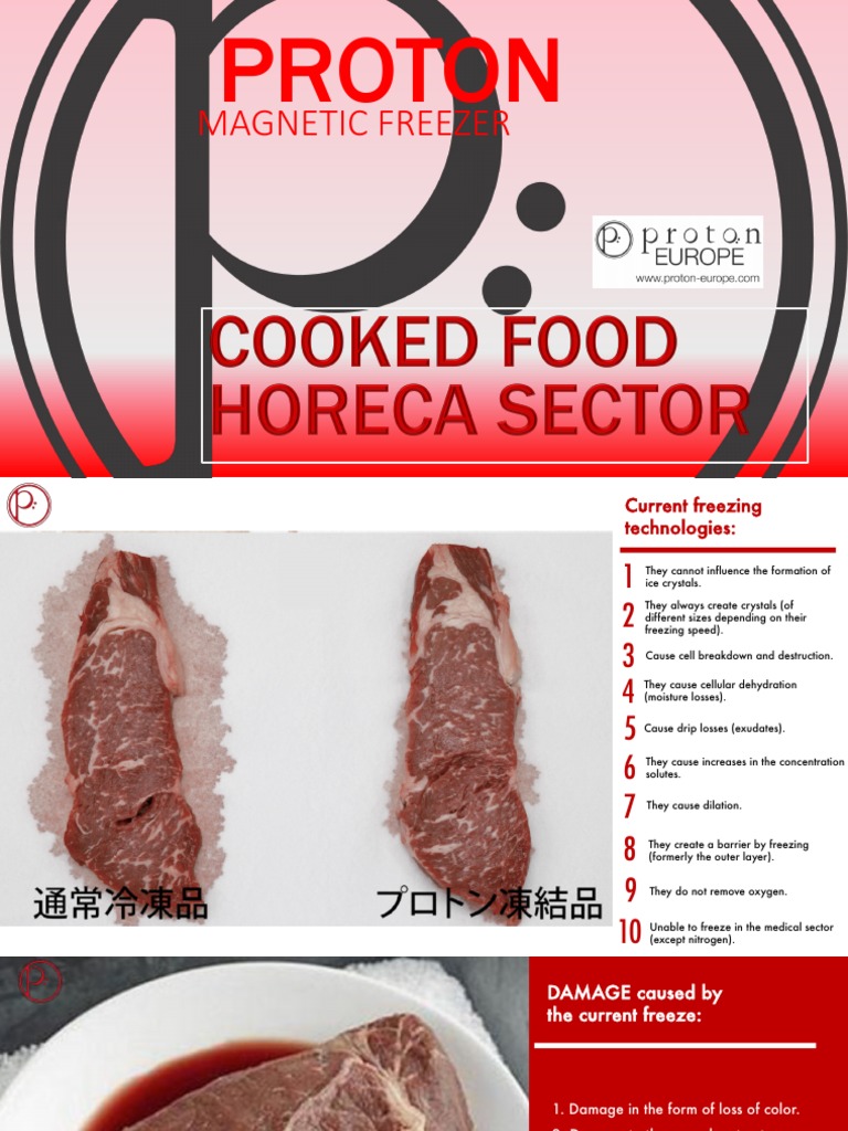 PP Proton Sector Horeca Eng - Compressed | PDF | Freezing | Restaurants