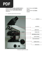 Microscope Use: Letter "E" Lab Guide | PDF | Microscopy | Glass ...