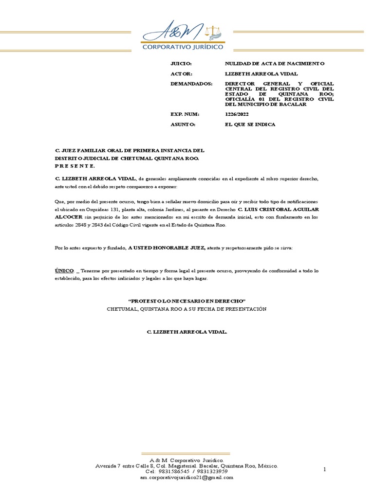 Solicitud Lizbeth | PDF