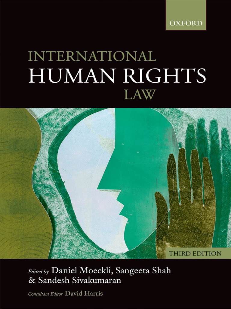 International Human Rights | PDF
