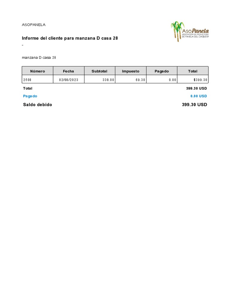 Informe Del Cliente | PDF