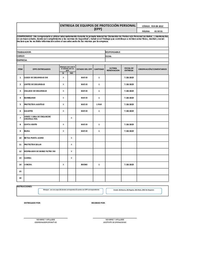FORMATO DE ENTREGA DE EPPS | PDF