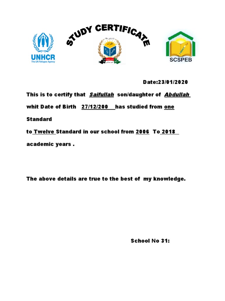 Saifullah C | PDF
