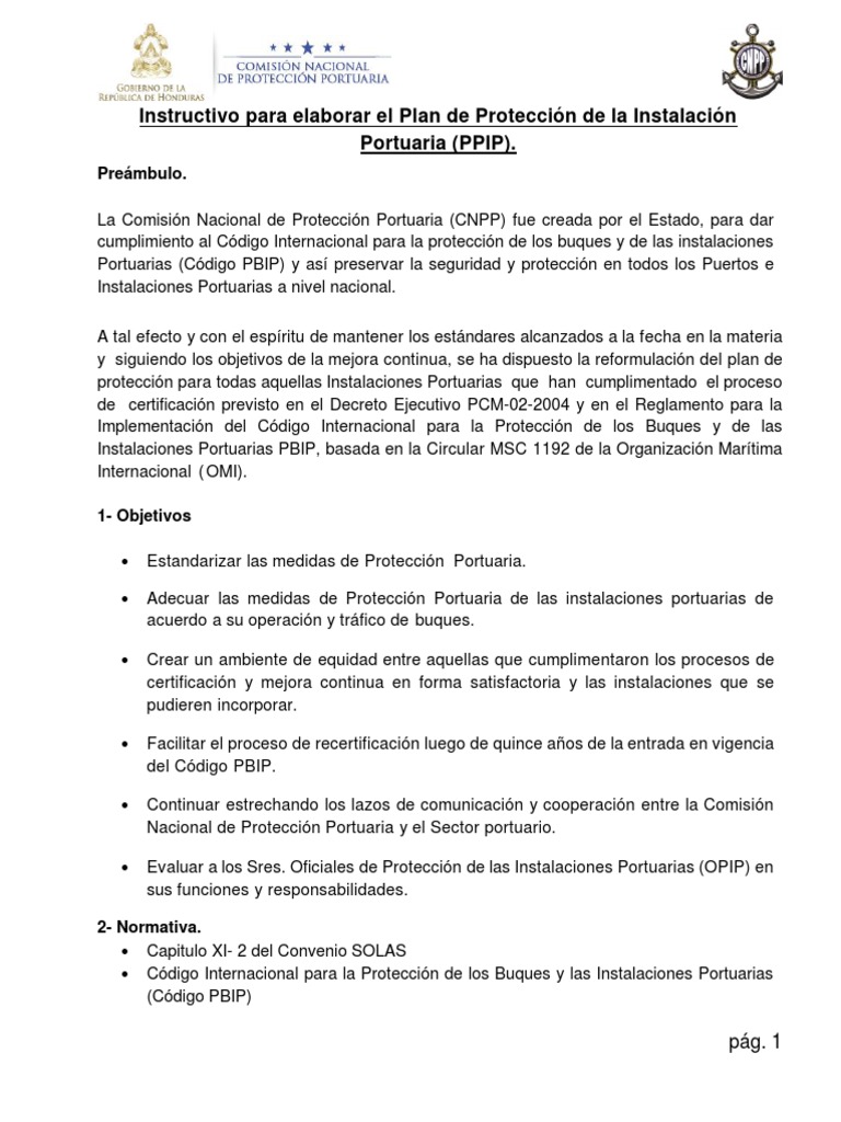 Instructivo - Formato para Elaborar Ppip 2020 | PDF