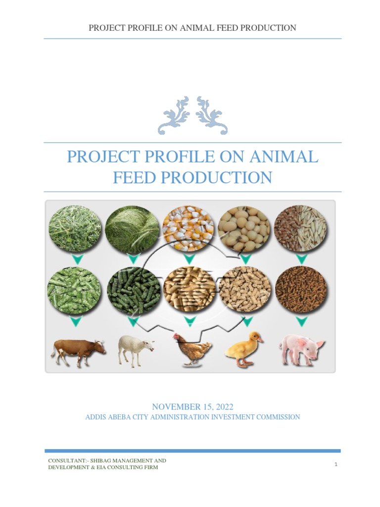 Animal Feed Production Project Profile | PDF | Net Present Value ...