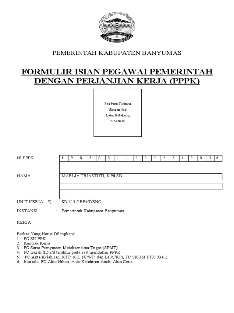 FIP PPPK | PDF