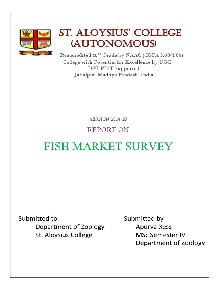 Fish Market Survey | PDF