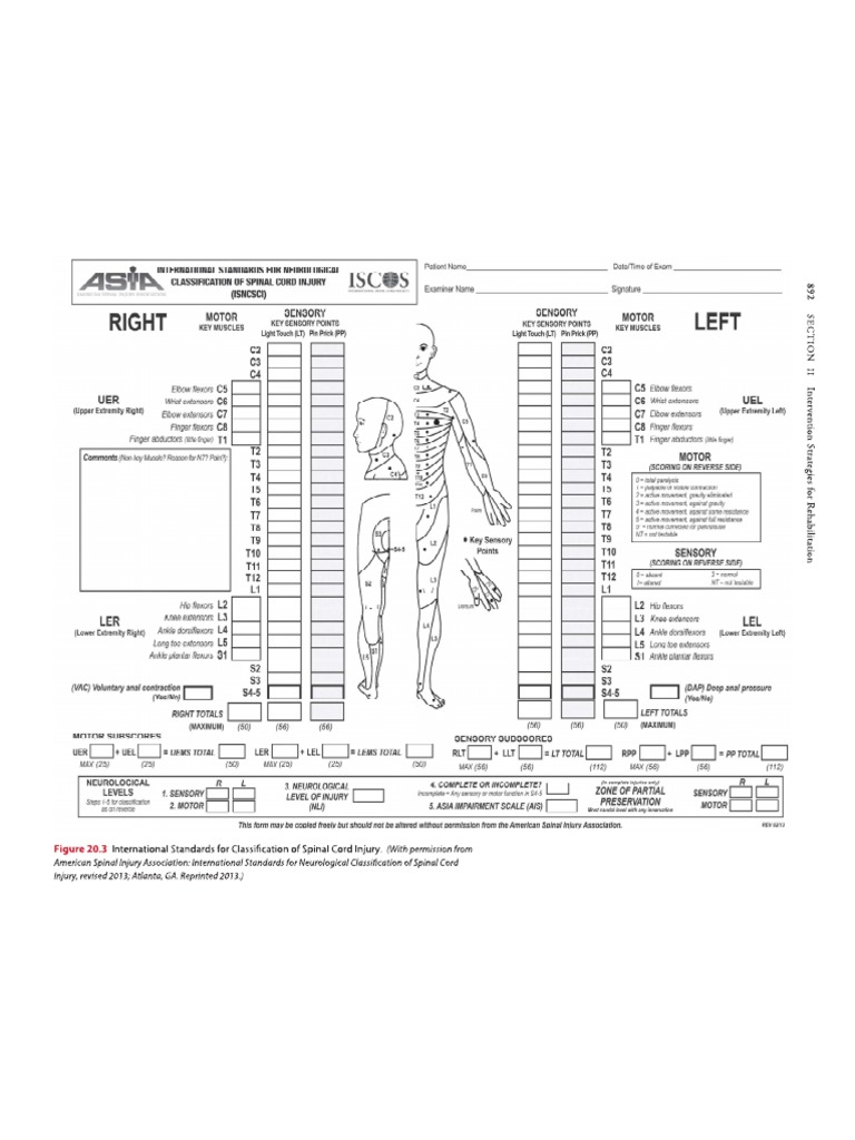 ASIA Scale | PDF