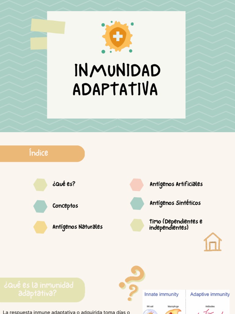 Inmunidad Adaptativa | PDF | Sistema inmune | Antígeno
