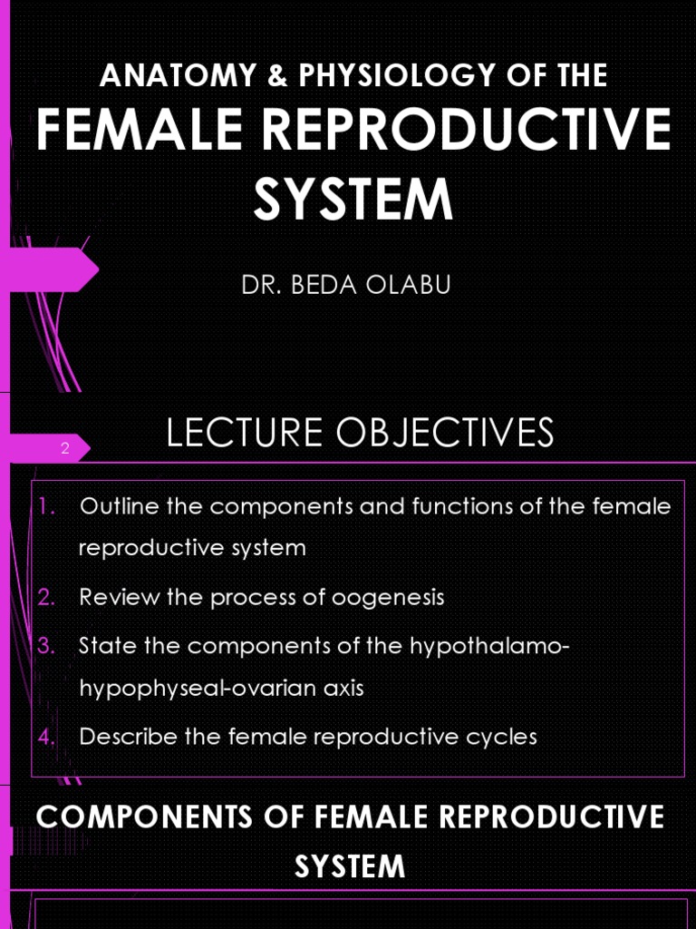 Female Reproductive System Guide | PDF