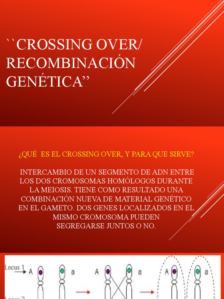 CROSSING OVER | PDF