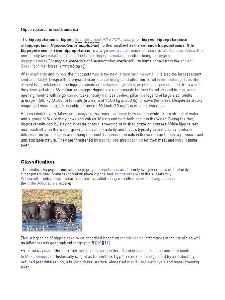 Hippo Research | PDF | Hippopotamus | Mammals