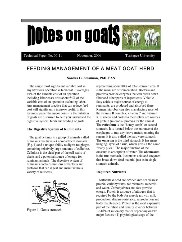 Goats Production and Feeding Guide | PDF | Ruminant | Goat