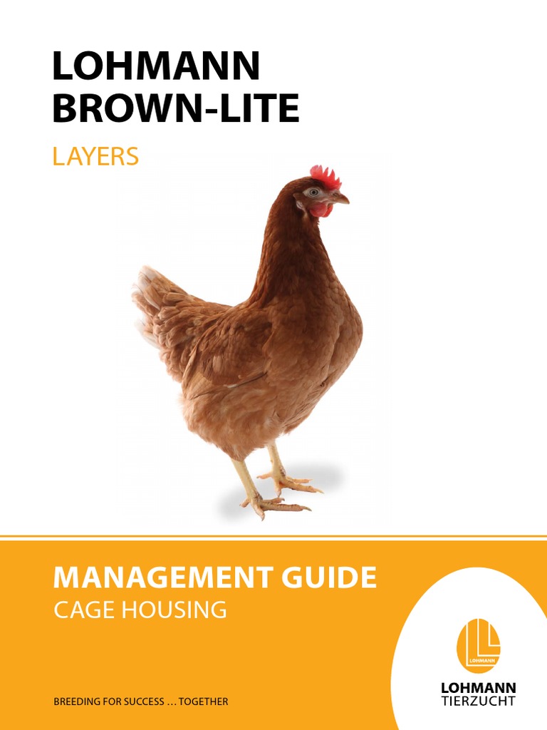 ?introduction To Layers | PDF