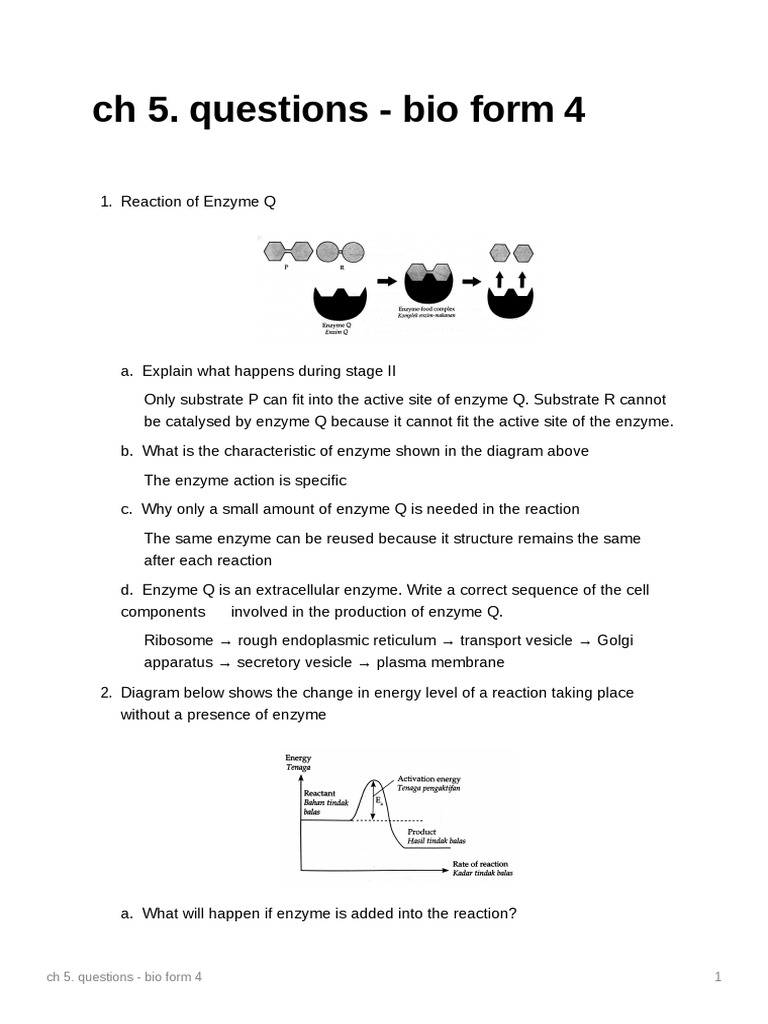CH 5 Questions - Bio Form 4 | PDF