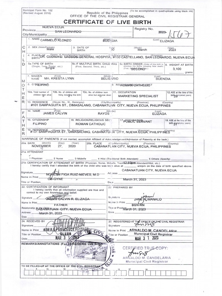 Birth Certificate | PDF