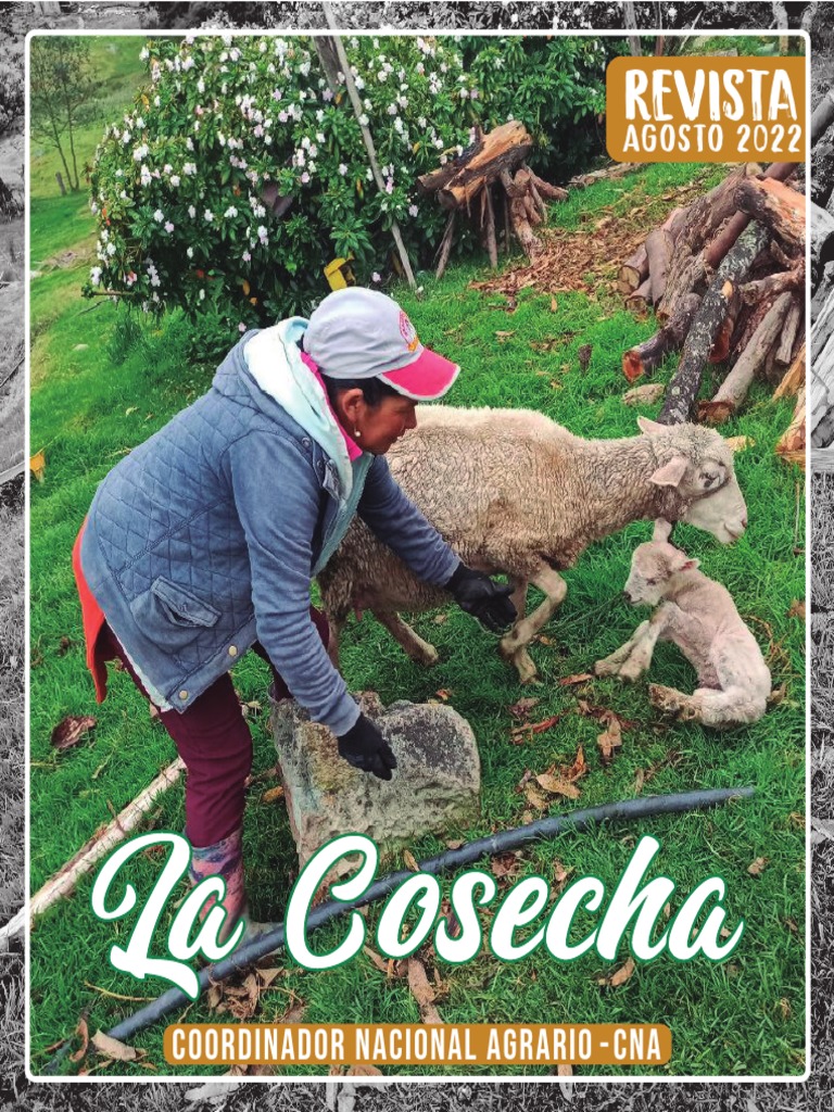 Revista Julio 'La Cosecha' CNA CC | PDF | Campesino | Colombia