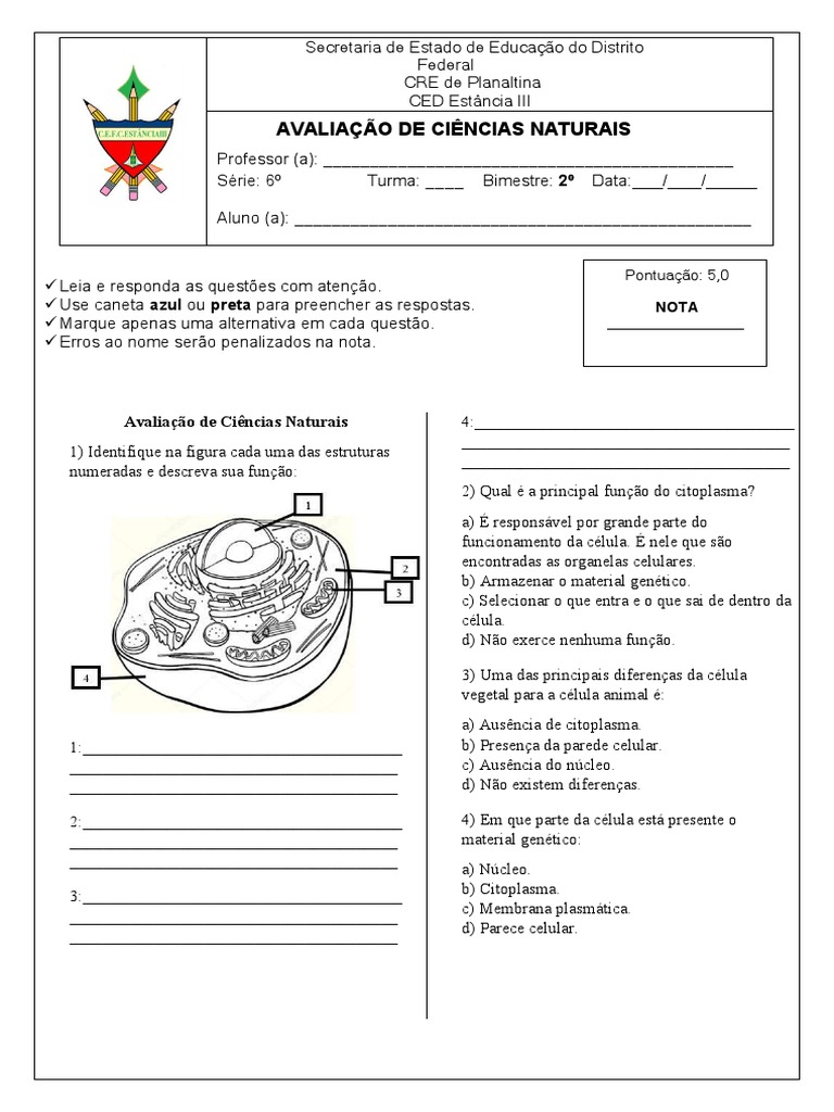 2º BIM - 6º Ano - Prova Ciencias | PDF