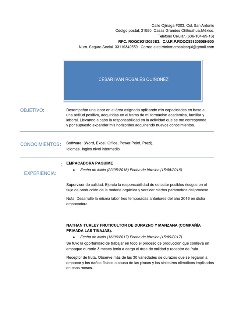 curriculum vitae Cesar Ivan Rosales-convertido2020 | PDF