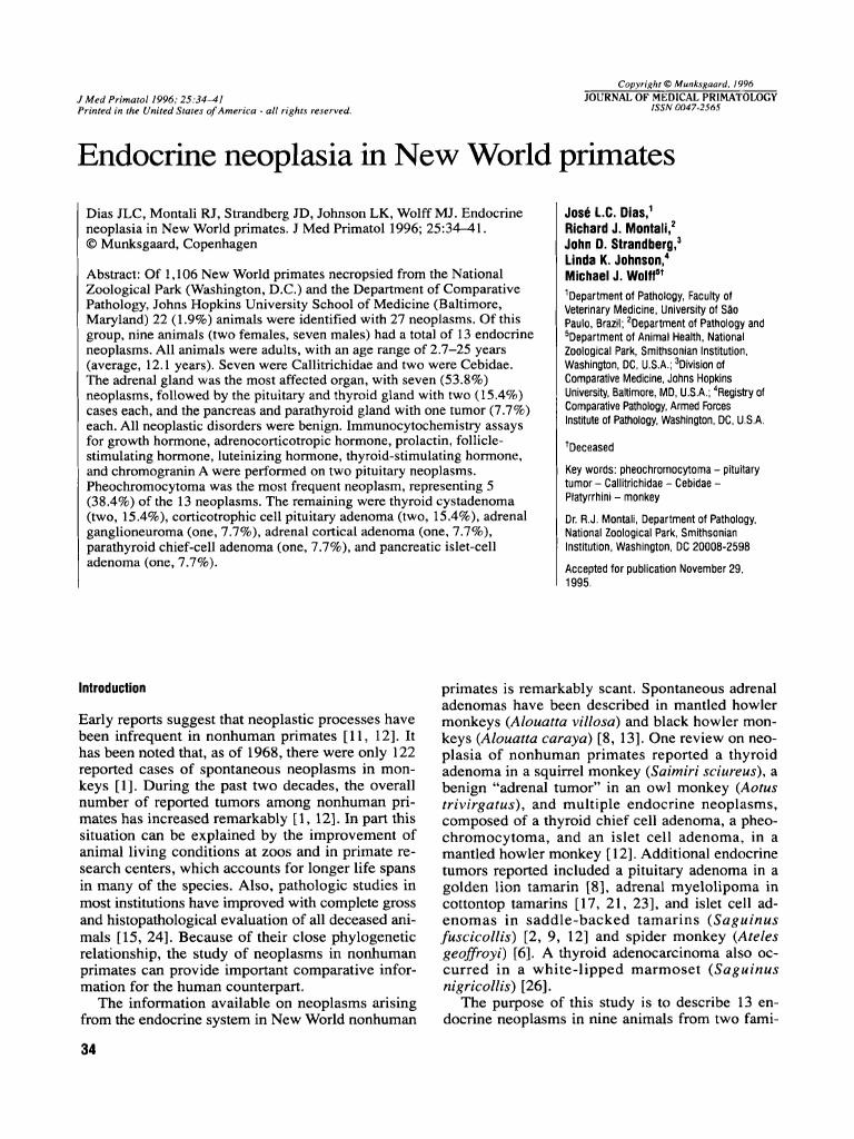 Endocrine Neoplasia in New World Pimates | PDF
