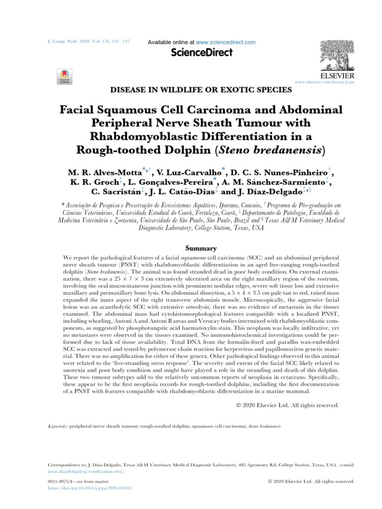 Facial Squamous Cell Carcinoma and Abdominal Peripheral Nerve Sheath ...