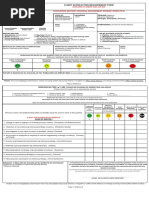 Rapid HEEADSSS Assessment Form | PDF