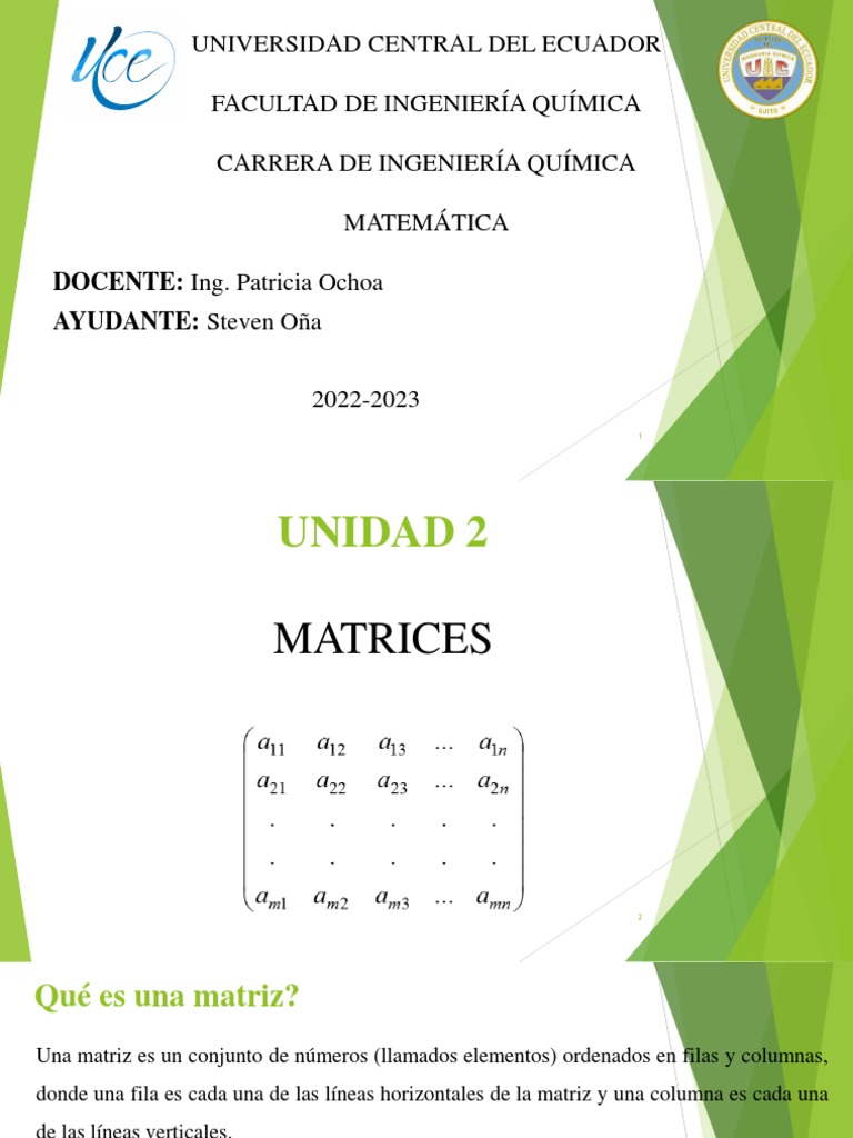 Unidad 2 - Matrices-1-P2 | PDF | Matriz (Matemáticas) | Determinante