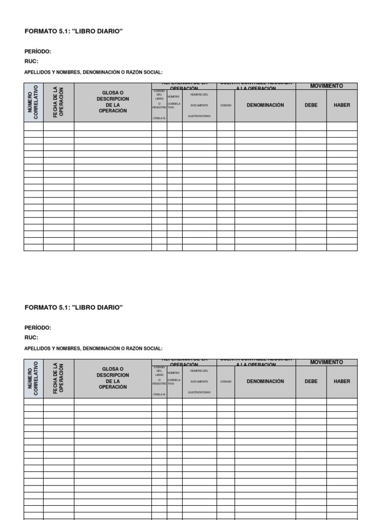 Formato Libro Diario para Imprimir | PDF