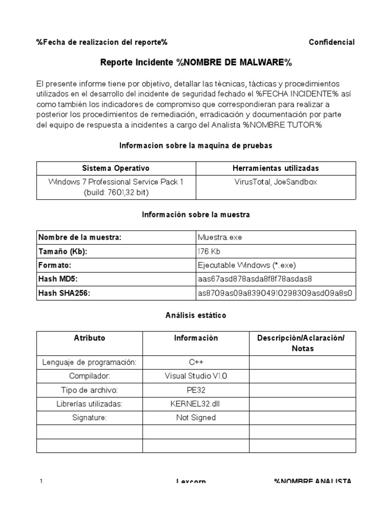 Informe MUESTRA | PDF