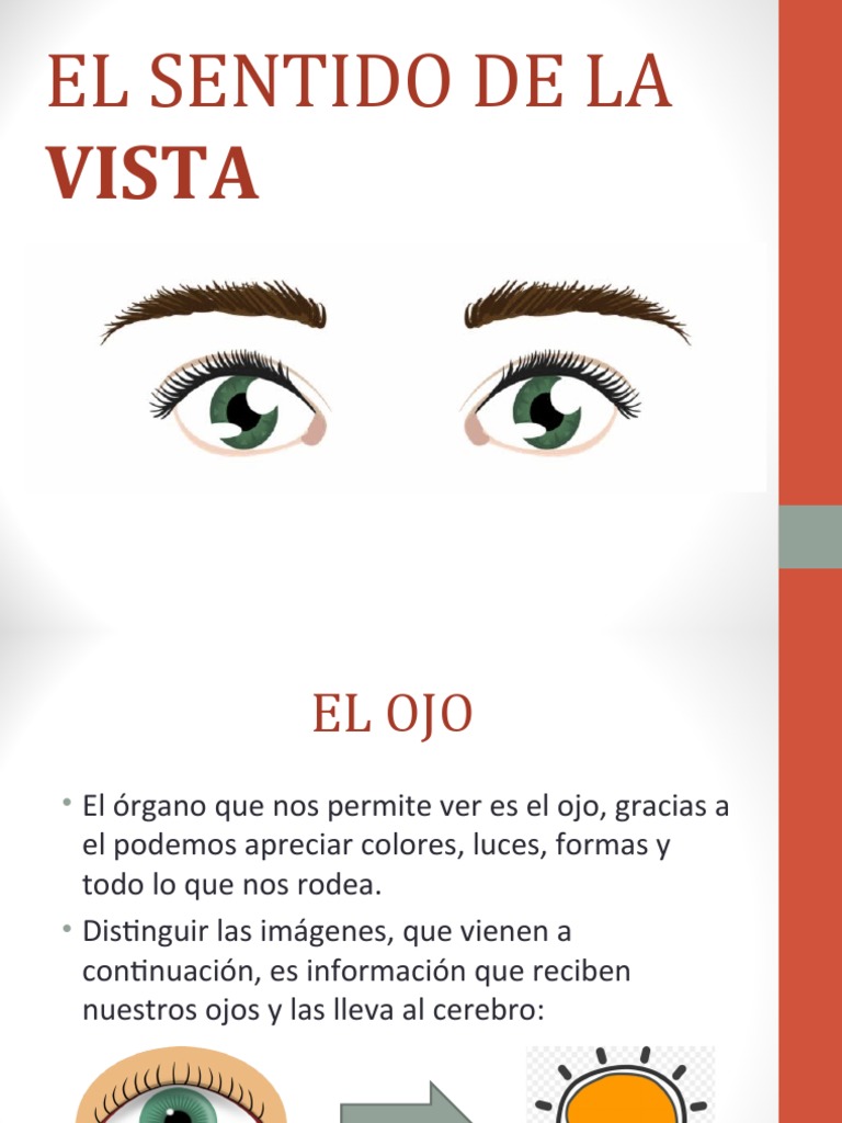 Importancia del sentido de la vista | PDF