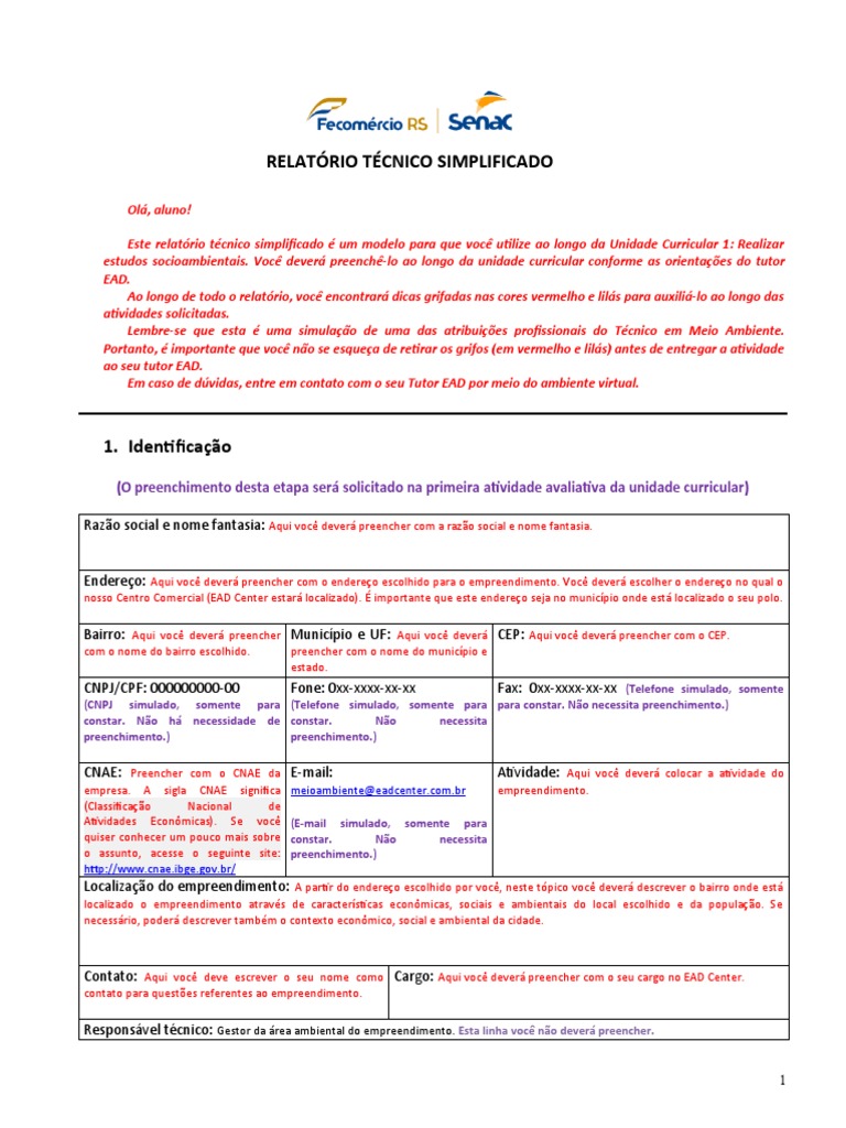 Relatorio Tecnico | PDF