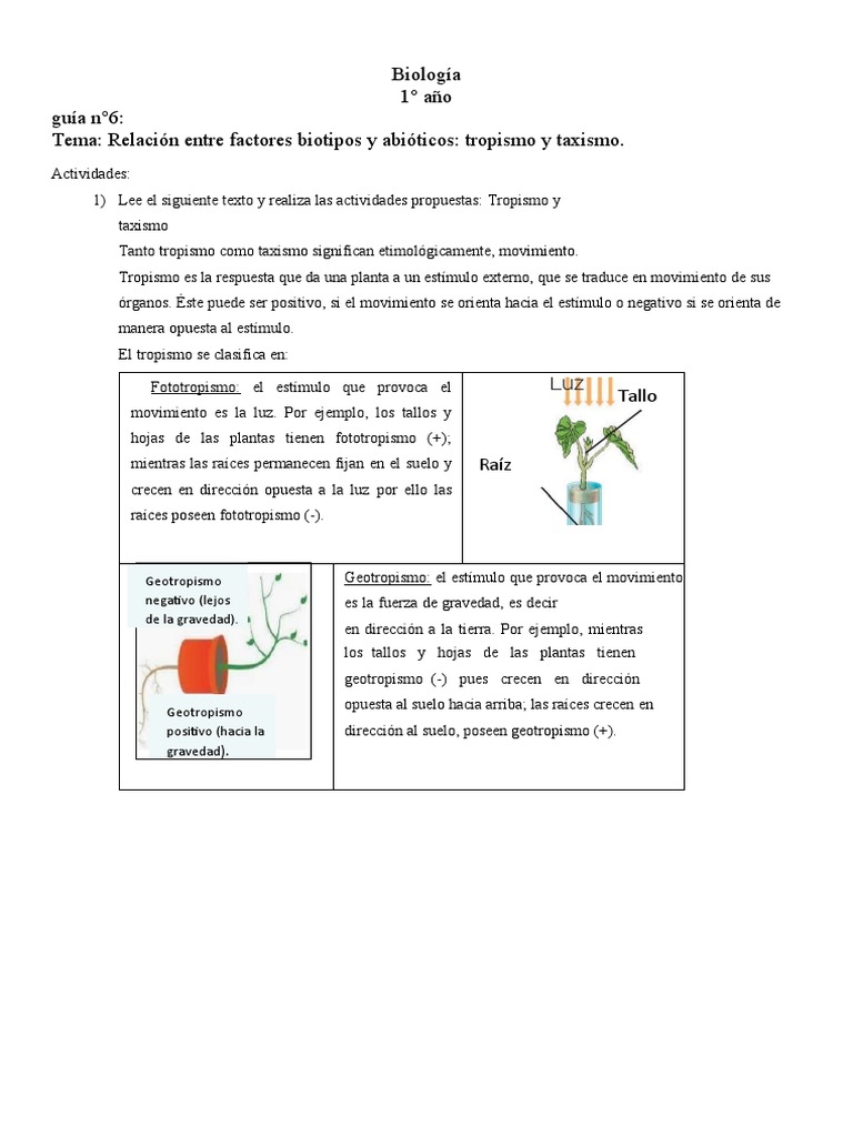 Guia N°5 1° Año Tropismo Taxismo | PDF | Botánica