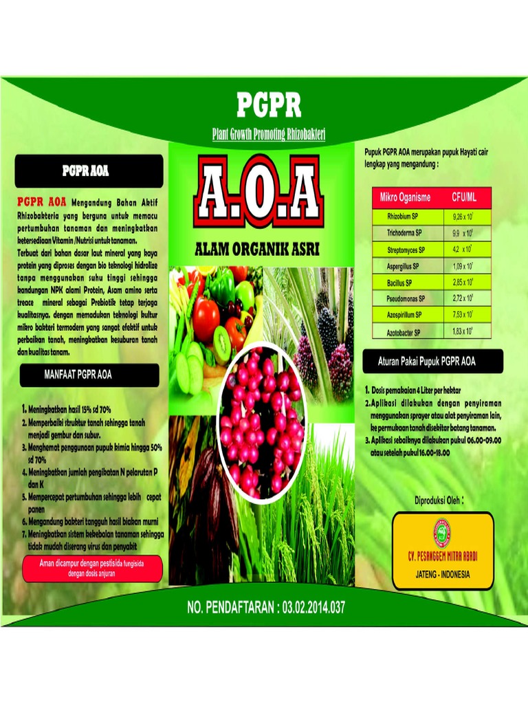Brosur PGPR AOA | PDF