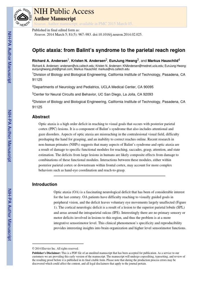 Understanding Optic Ataxia and Balint's Syndrome | PDF | Parietal Lobe ...