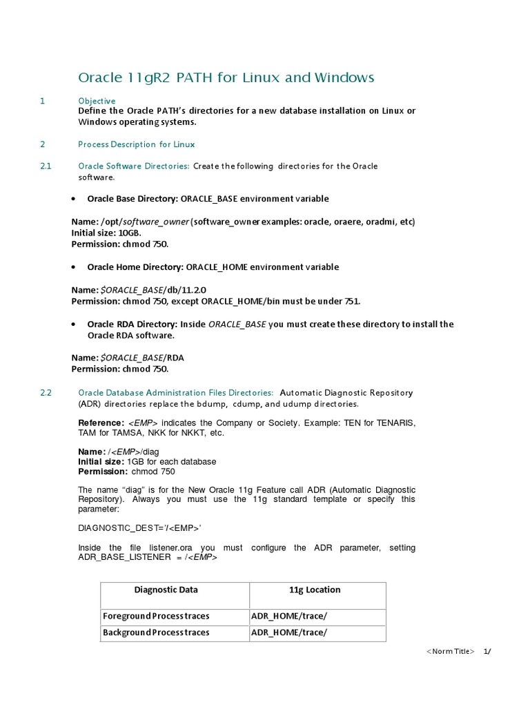 Oracle 11gR2 - Database PATH Guideline | PDF | File System | Databases