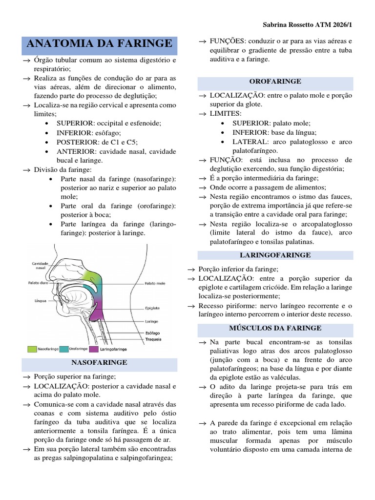 Anatomia Da Faringe | PDF | Laringe | Sistema respiratório