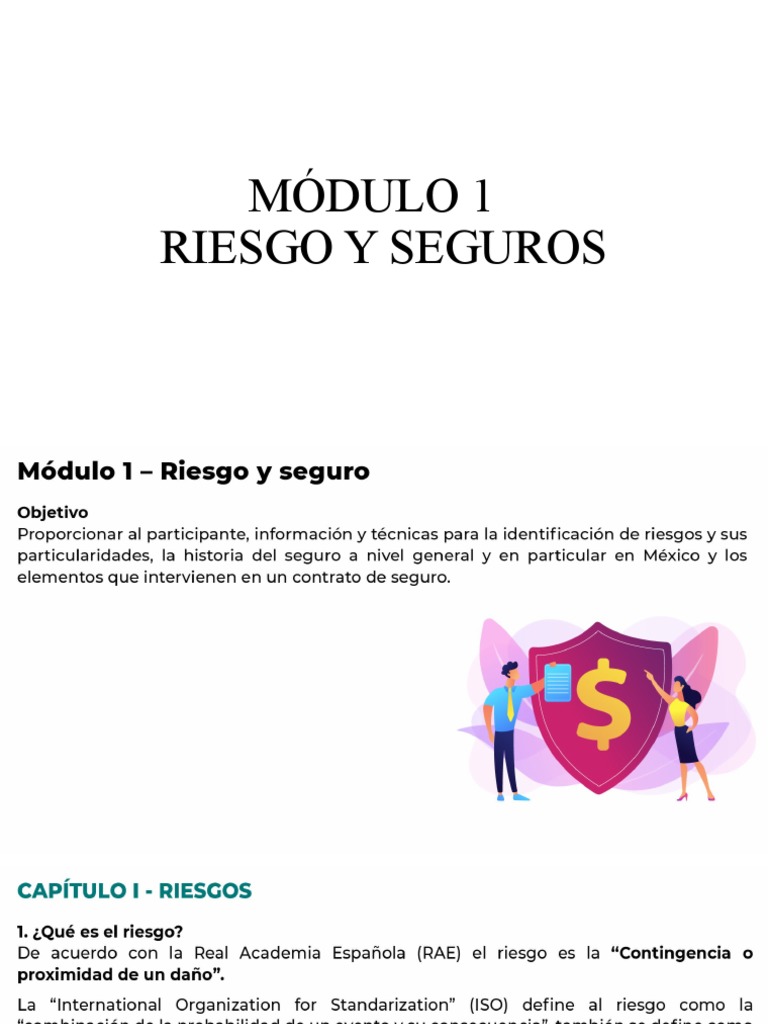 Modulo 1 RIESGO Y SEGUROS | PDF