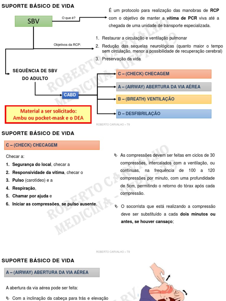 02 Suporte Básico De Vida Download Grátis Pdf Reanimação