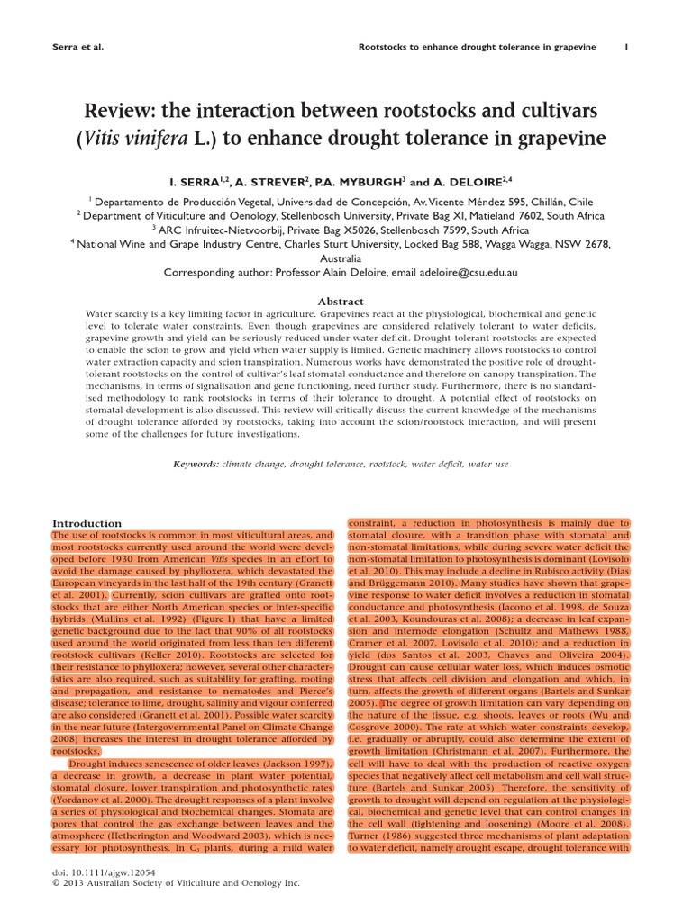 Serra Et Al., 2013 Review The Interaction Between Rootstocks and ...
