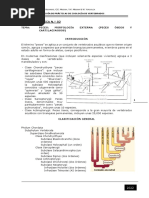 Anatomía de Aletas en Peces | PDF | Cordados | Pescado