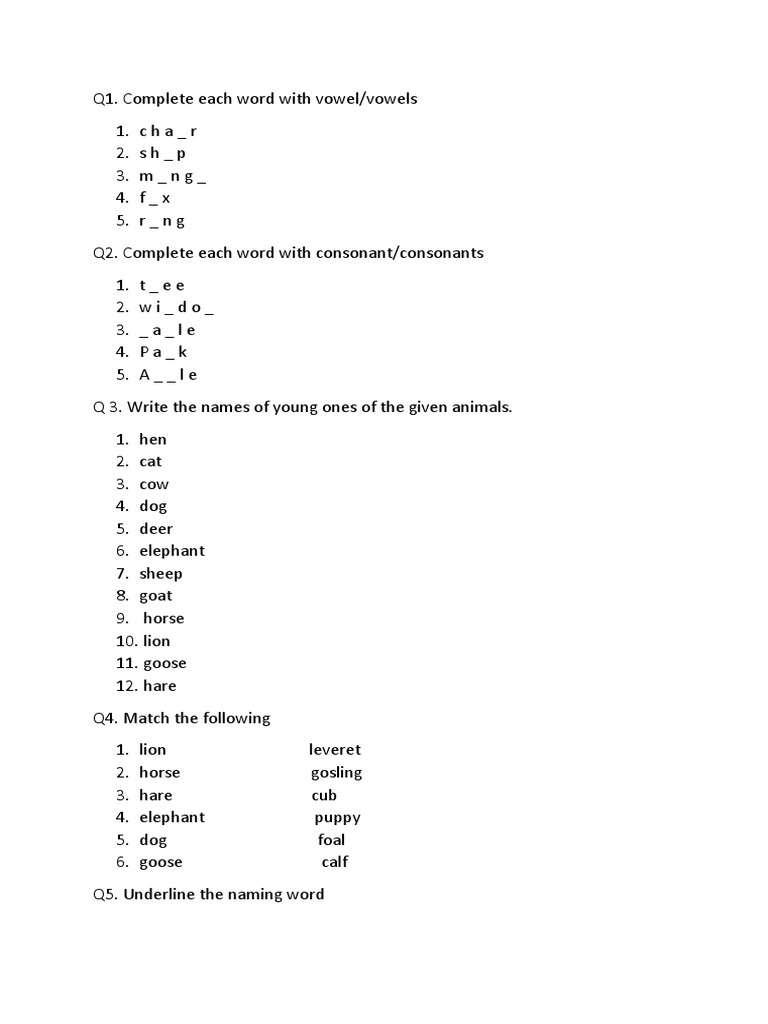 English Language 1 | PDF