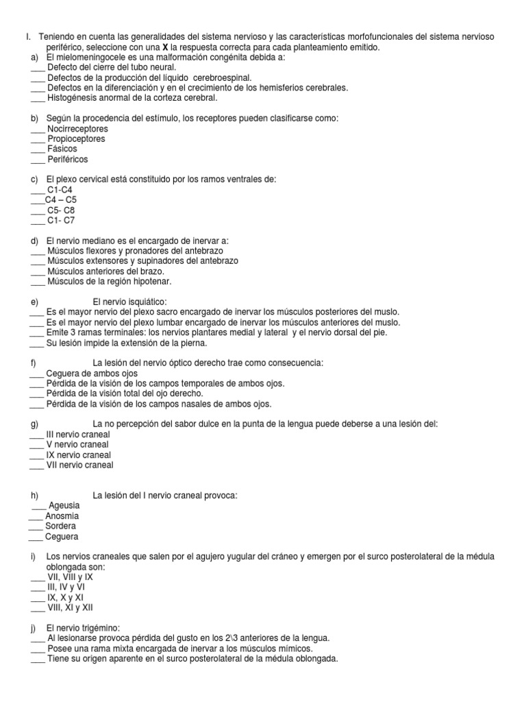 Examen Morfo 2 | PDF