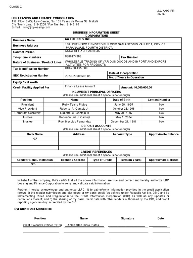 Business Information Sheet | PDF