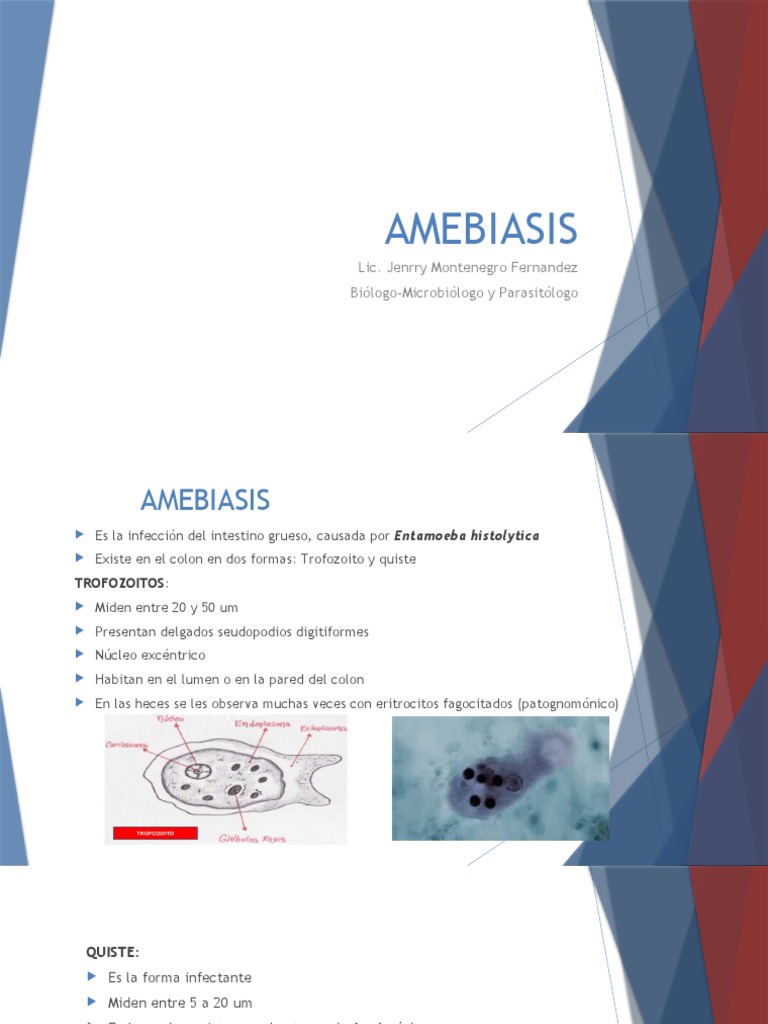 AMEBIASIS | PDF | Salud y bienestar
