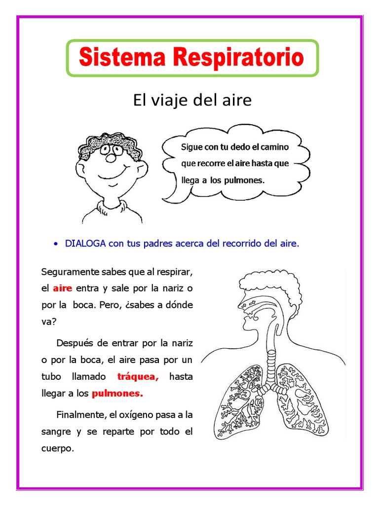 El Viaje Del Aire | PDF